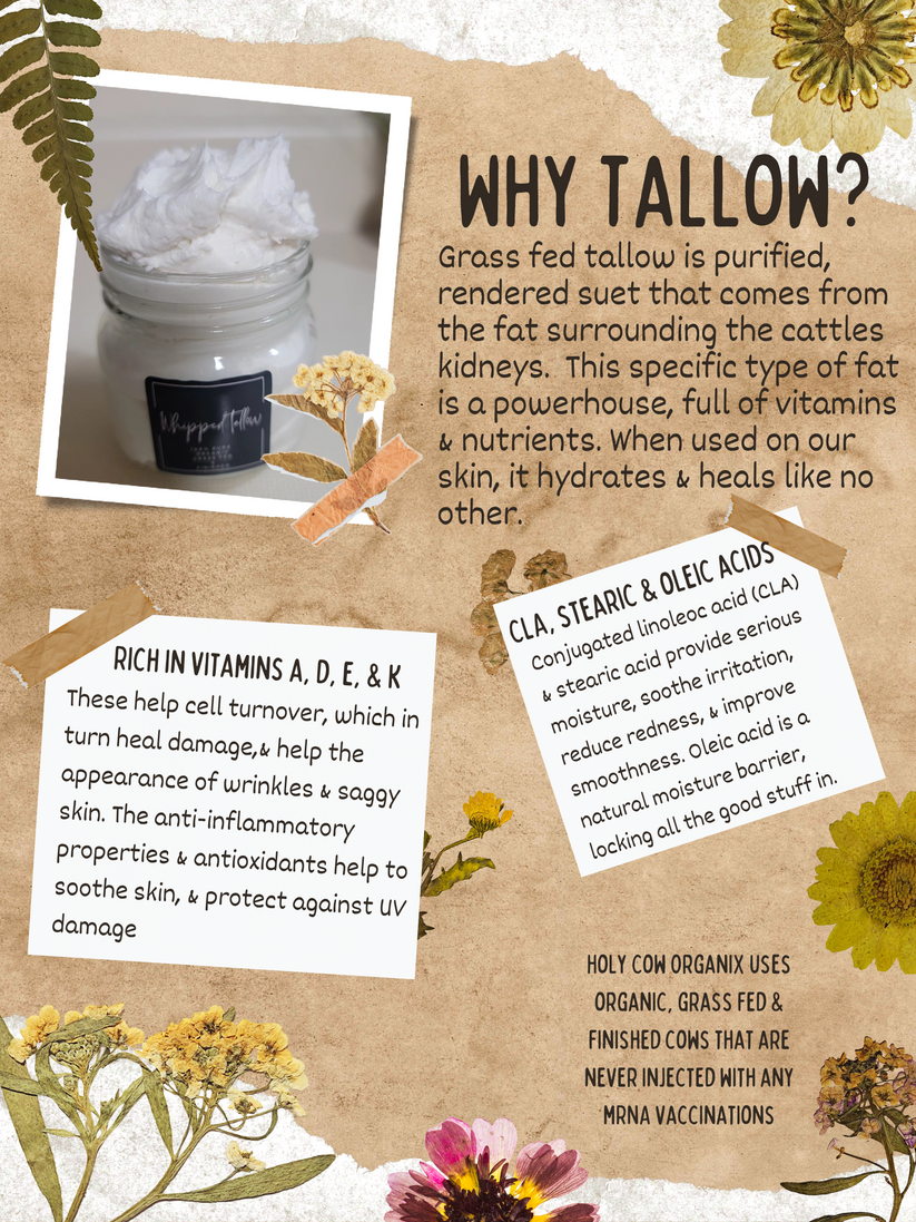 Calendula Whipped Tallow – Holy Cow Organix